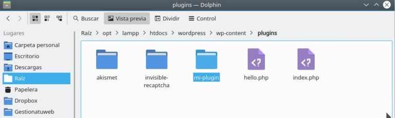 WordPress: Crear nuestro propio plugin de funciones – Dani Sánchez